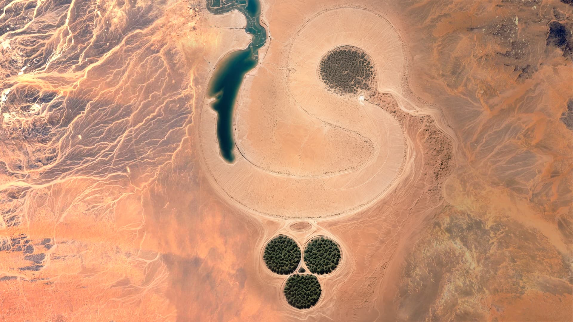 Sharp Earth عربي – Sharp Type