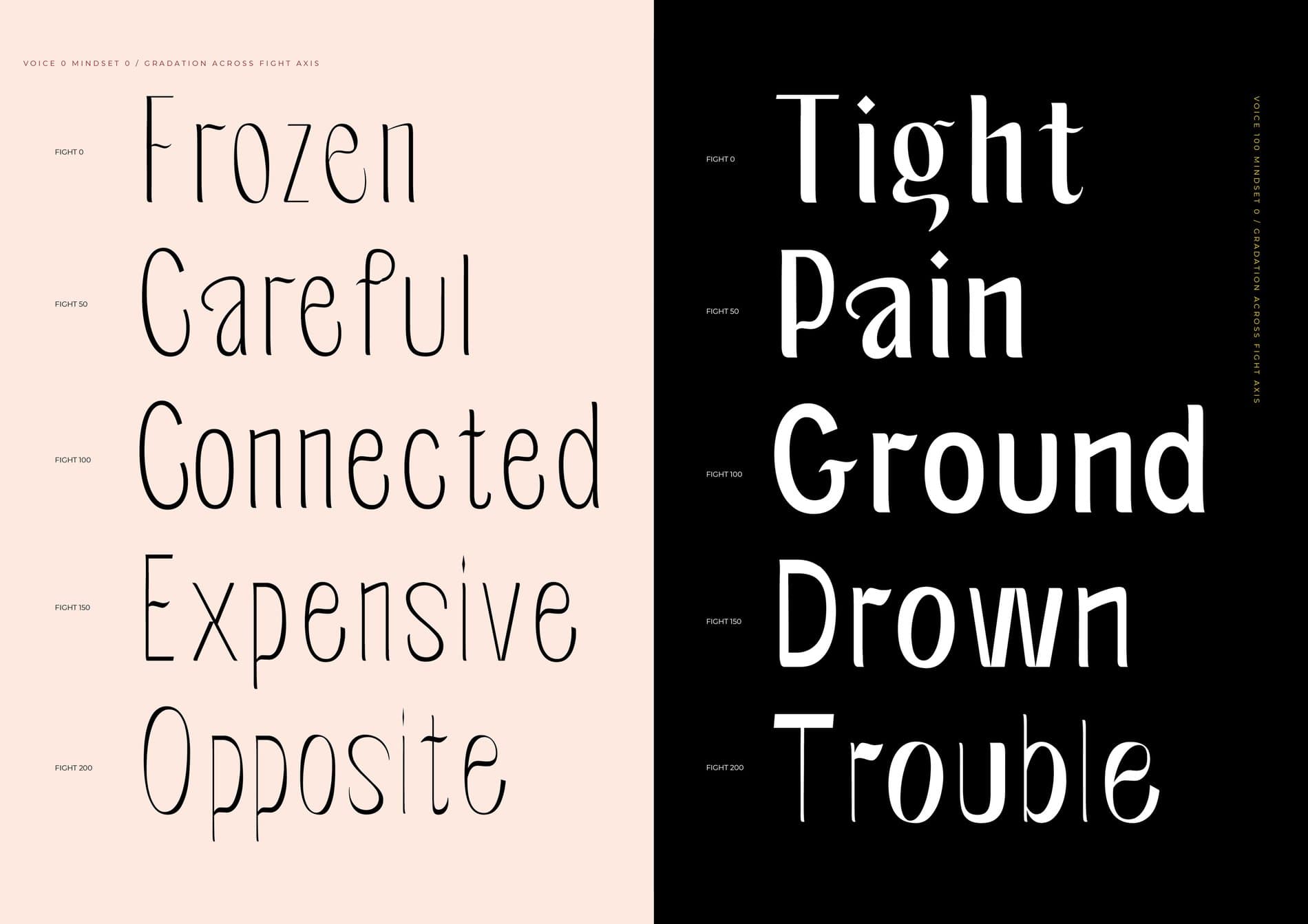 The Malee Scholarship 2020 Women of Typographic Excellence – Sharp Type